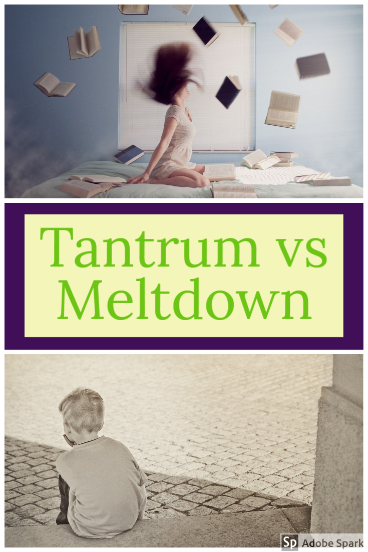 Tantrums vs Meltdowns